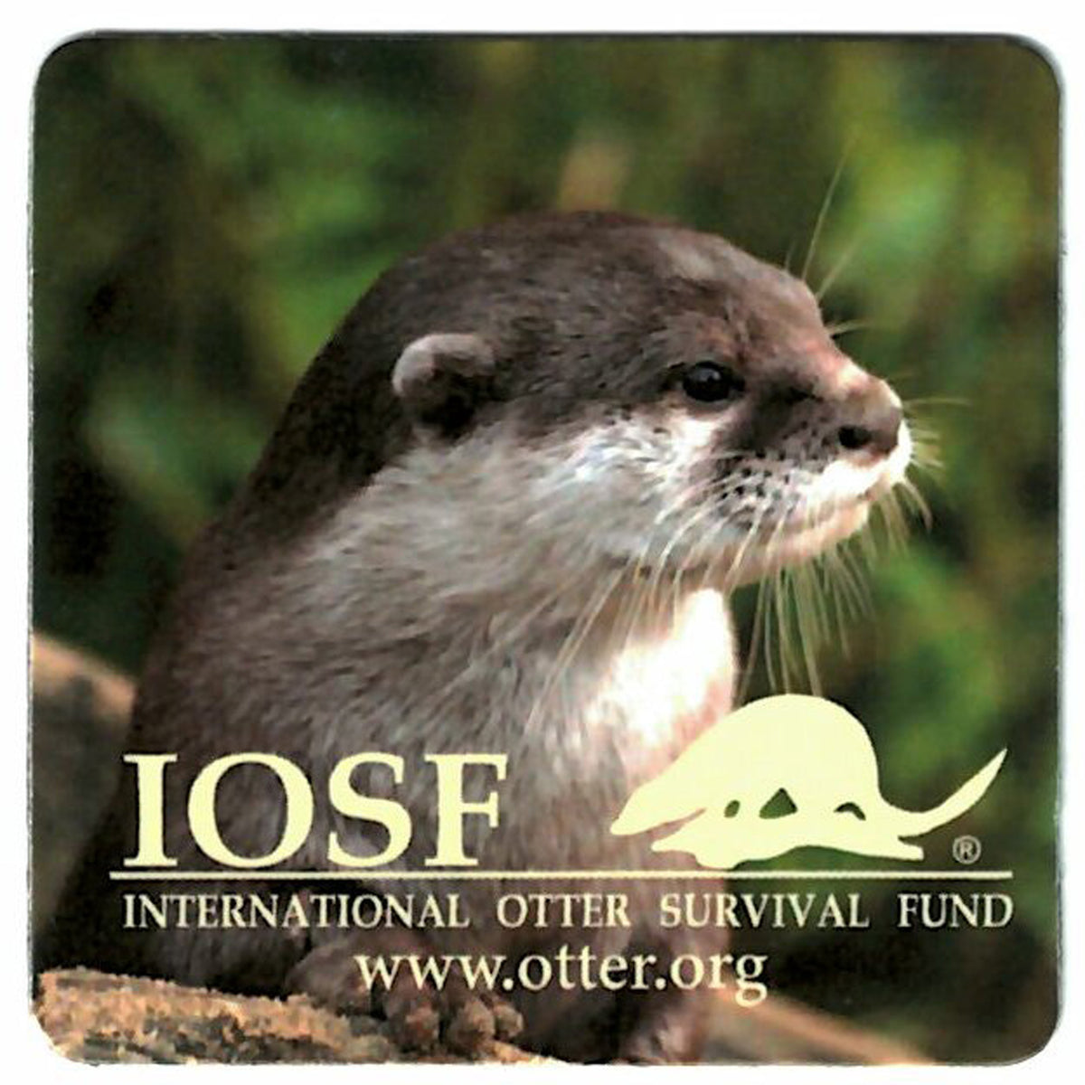 Magnets, Badges, Models, Stickers and Stamps – IOSF Otter Shop
